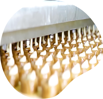 Vienna Chocolate Factory